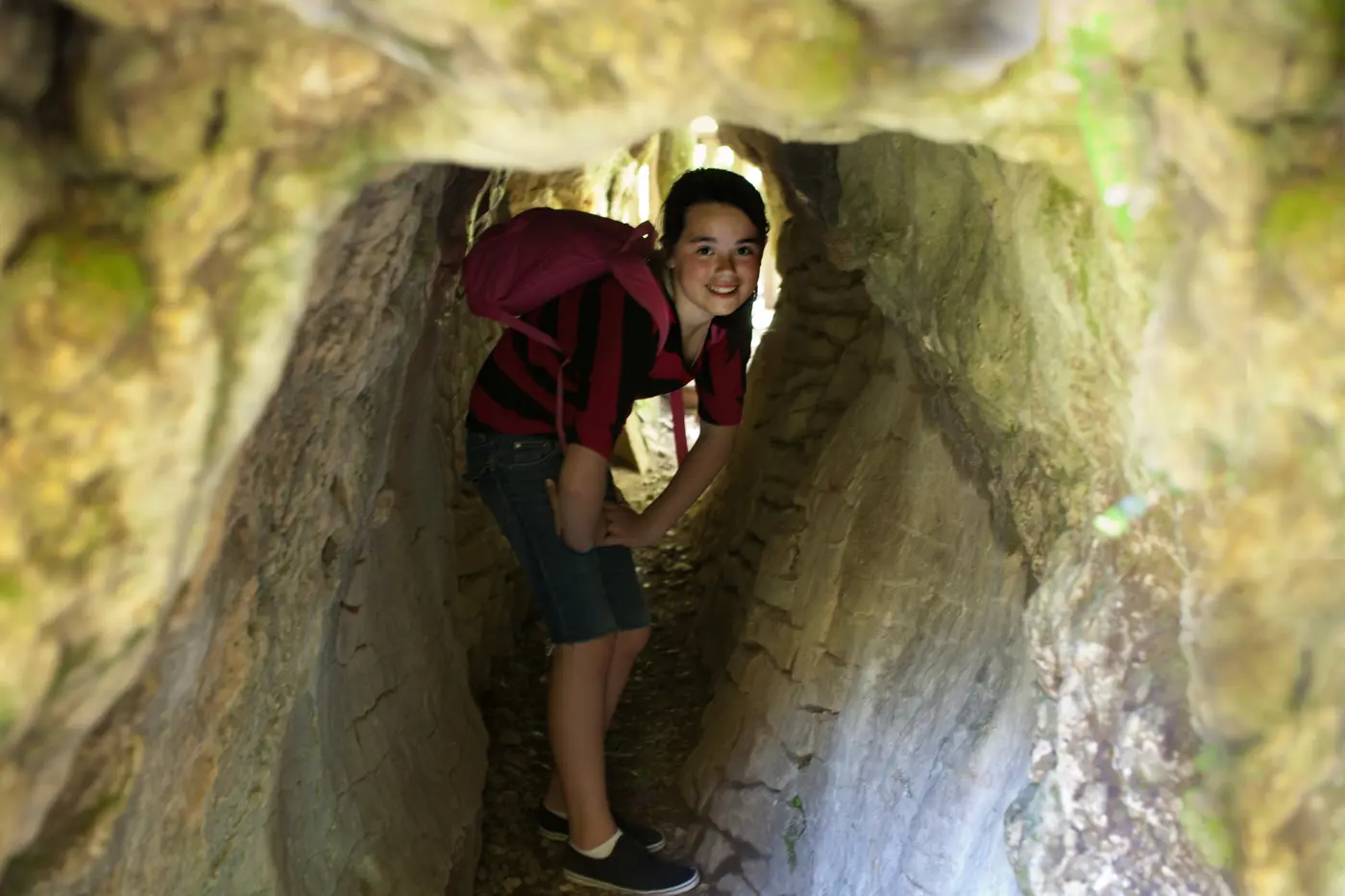 Top Waikato Walking Trails - WaikatoNZ