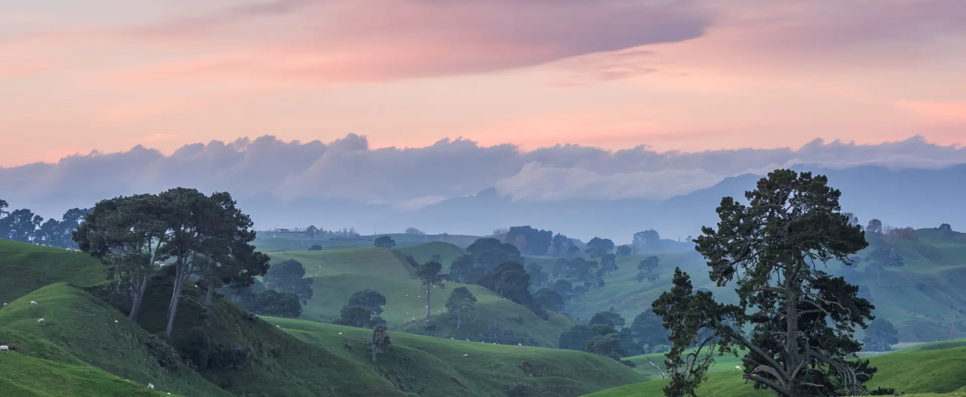 Places to go: Matamata - WaikatoNZ