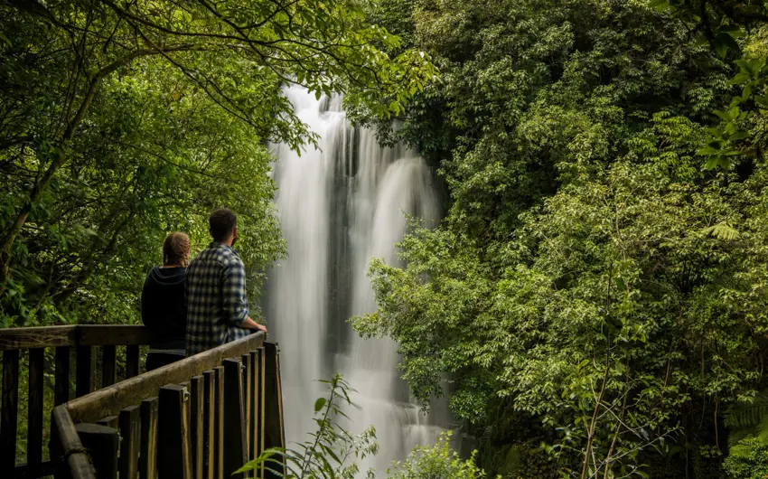 Discover the Breathtaking Waikato Waterfalls - WaikatoNZ